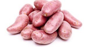 Cerisa | Fagforum Potet