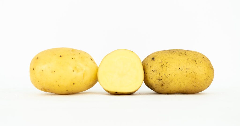 Colomba | Fagforum Potet