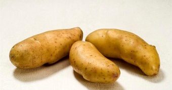 Mandel | Fagforum Potet