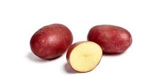 Nansen | Fagforum Potet