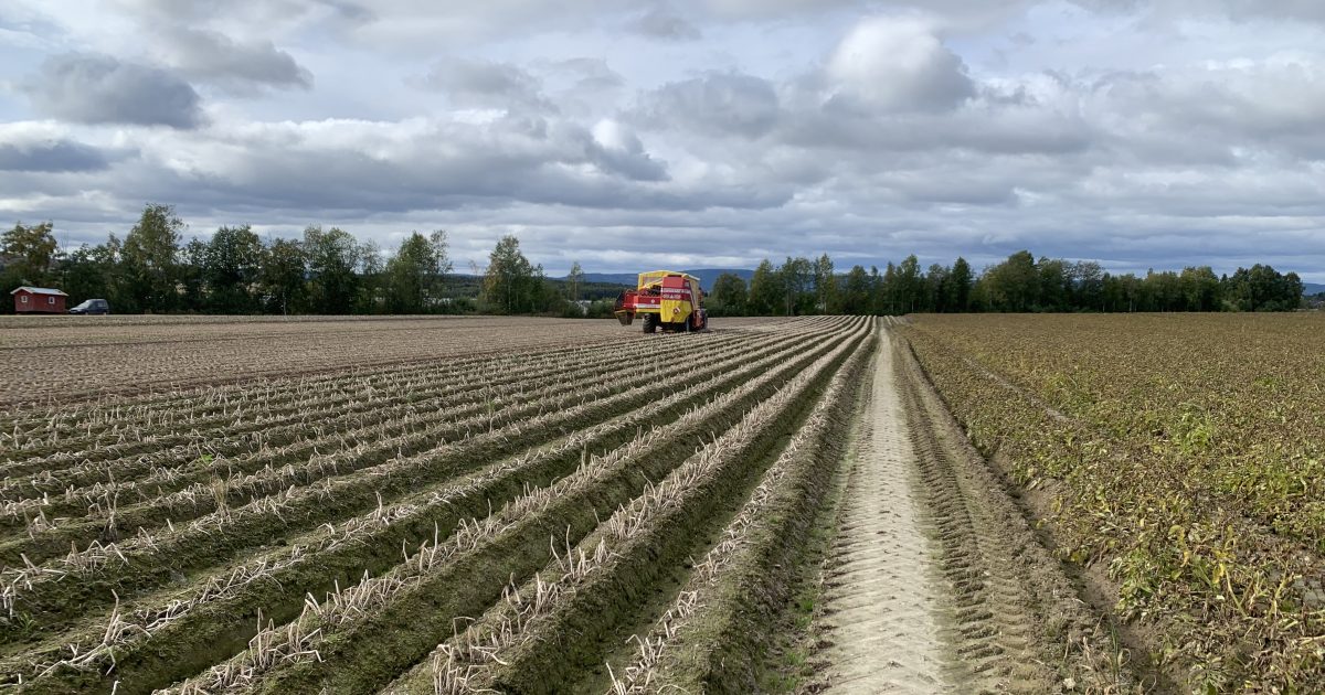 Program | Fagforum Potet