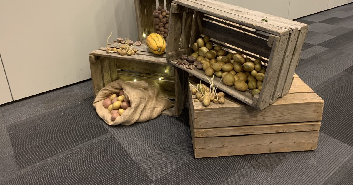 Du har fortsatt mulighet til å melde deg på Potet… | Fagforum Potet