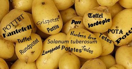 Forsiden | Fagforum Potet